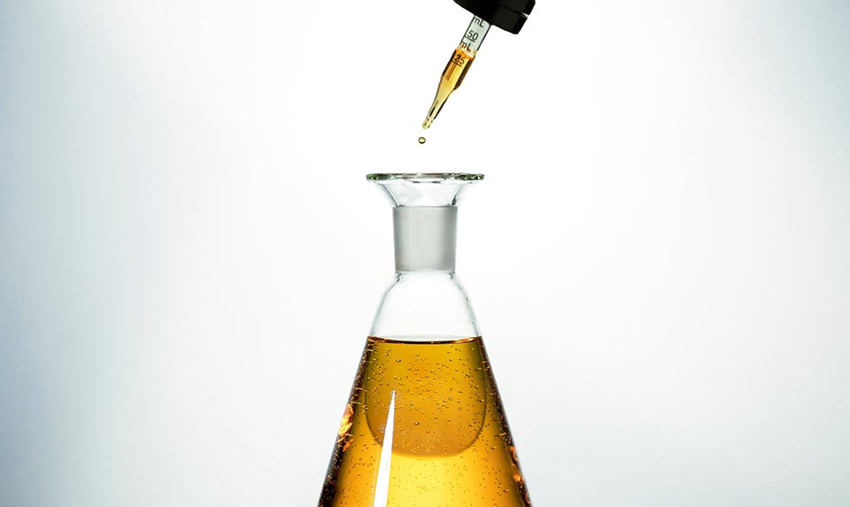 Seed Oil Free Alliance Press Kit - Seed Oil Free Alliance